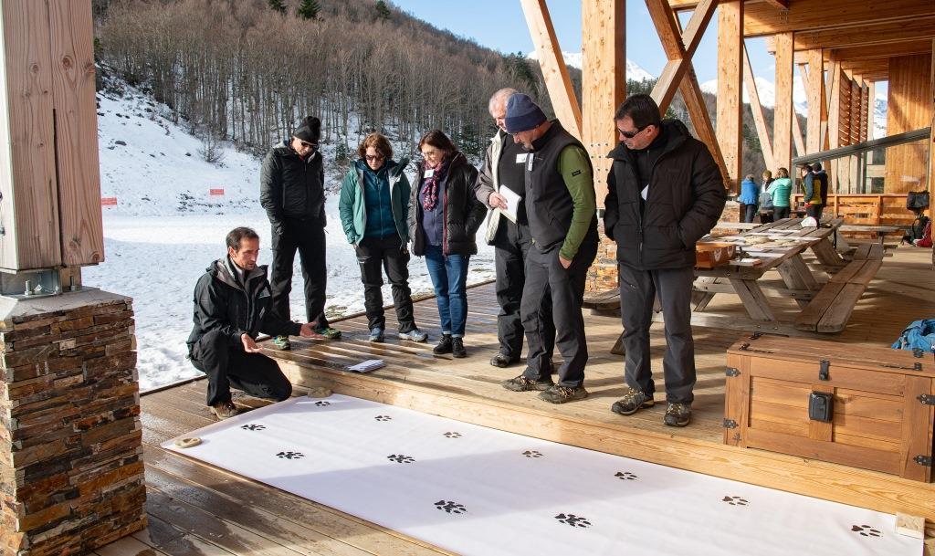 Biodiv’Sports 64, un dispositif au bénéfice de la biodiversité | Parc national des Pyrénées